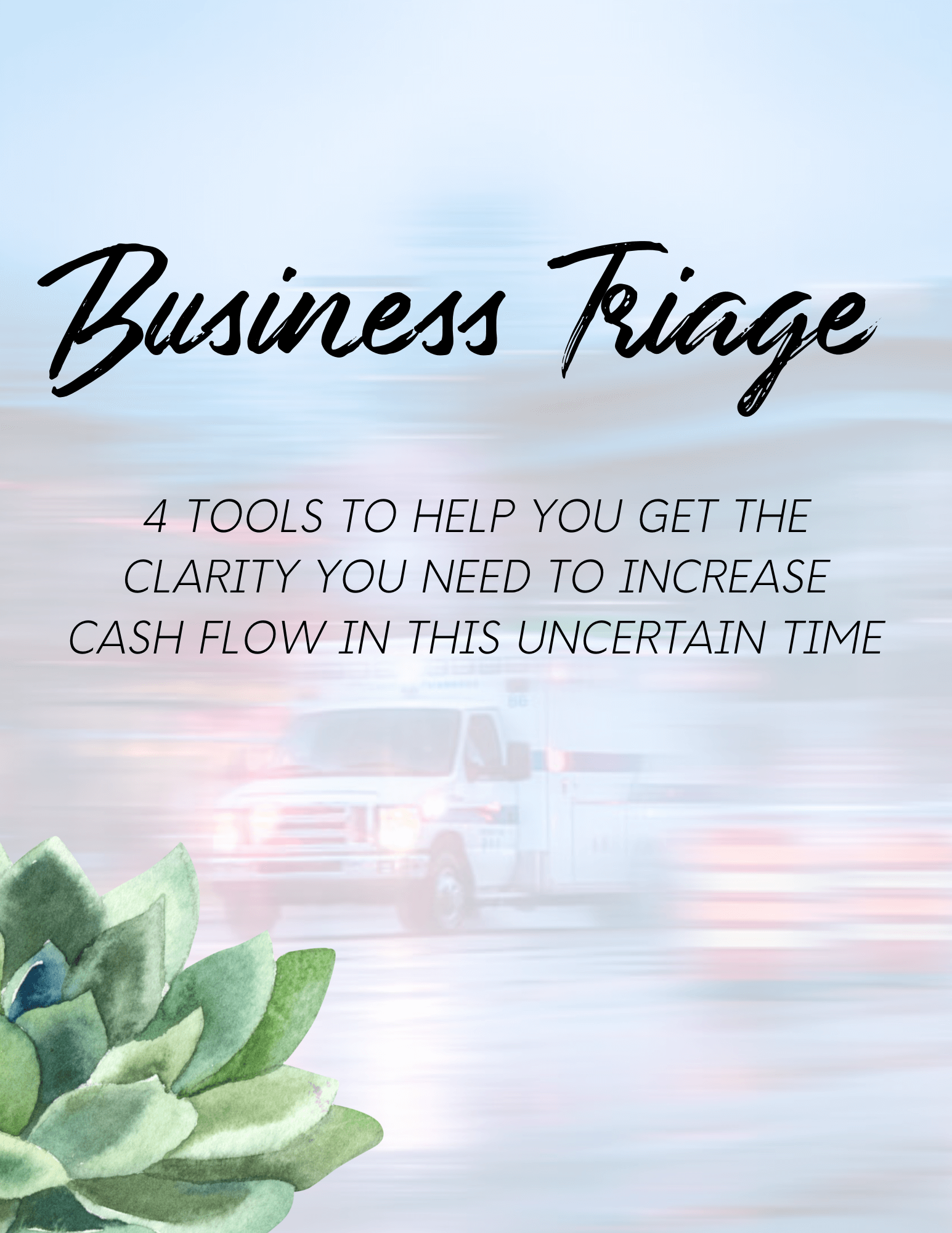 Business Triage Tool Kit | Golden Key Partnership