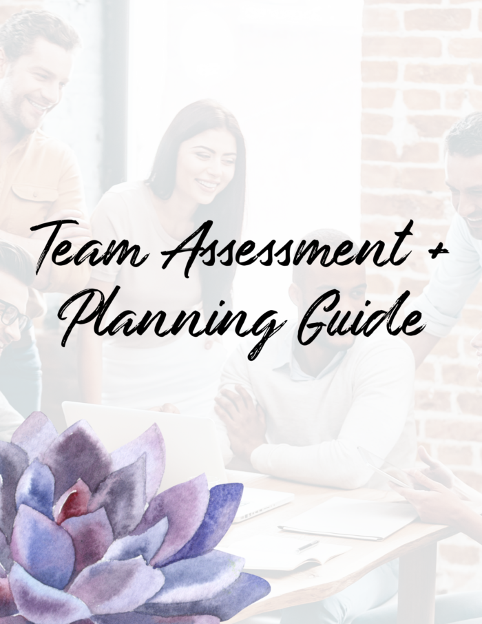 Team Assessment & Planning Guide | Golden Key Partnership